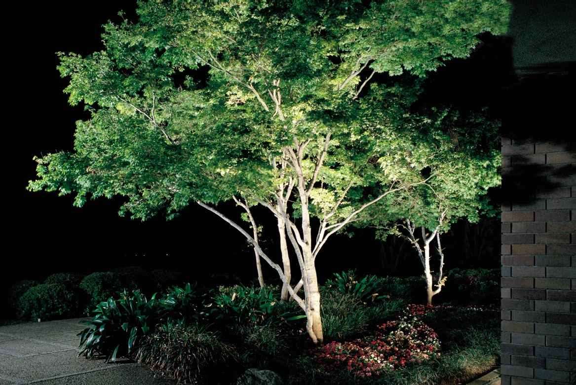 Tree Uplight - Alexander Marquee & Equipment Hire